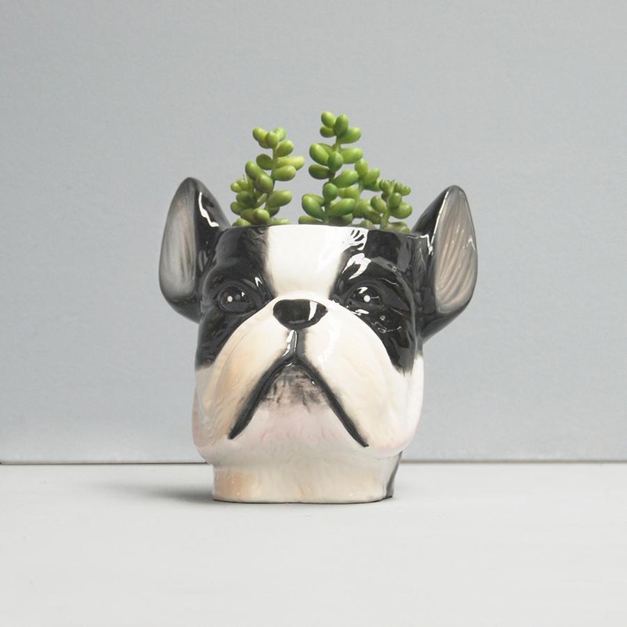 Frenchie Ceramic Planter | Buy Planters Online | VAVOOM